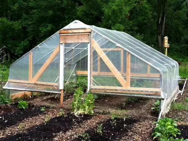 Weqfa ji bo Greenhouses ji polycarbonate û materyalên din ên bi destên xwe - rêwerzên gav-gav bi wêneyan, vîdyoyê û nexşeyan