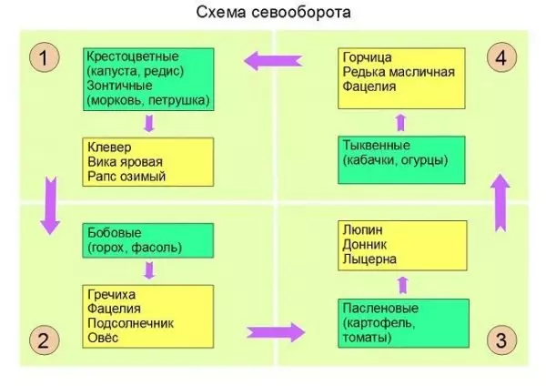 Shema rotacije usjeva