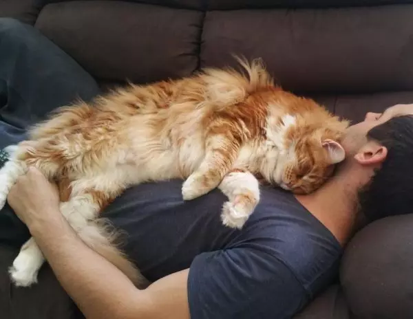 Omar spí se svým majitelem