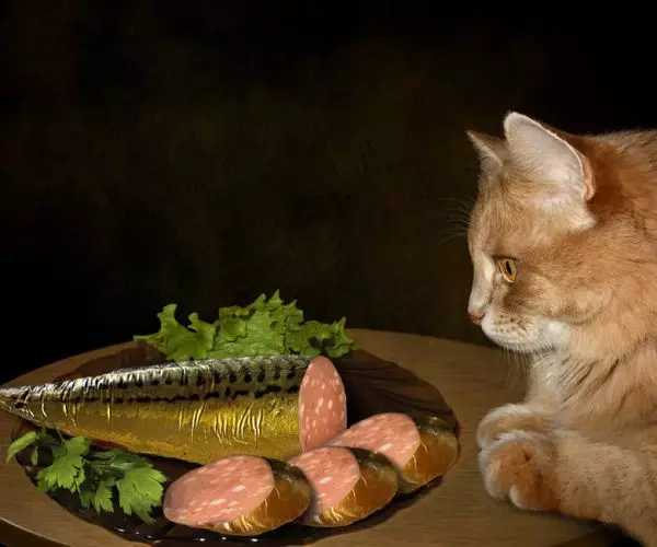 Kedi ve balık