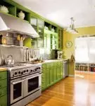 Nội thất màu xanh lá cây trong bếp trong một ngôi nhà riêng