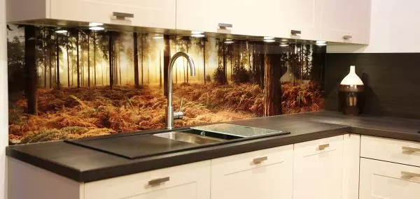 キッチン用ガラスのエプロンのPhotodfrd