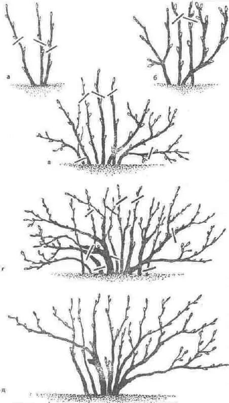 គ្រោងការណ៍