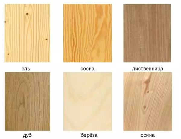 Erinevate tõugude puude erinevused struktuuris ja värvikiududes