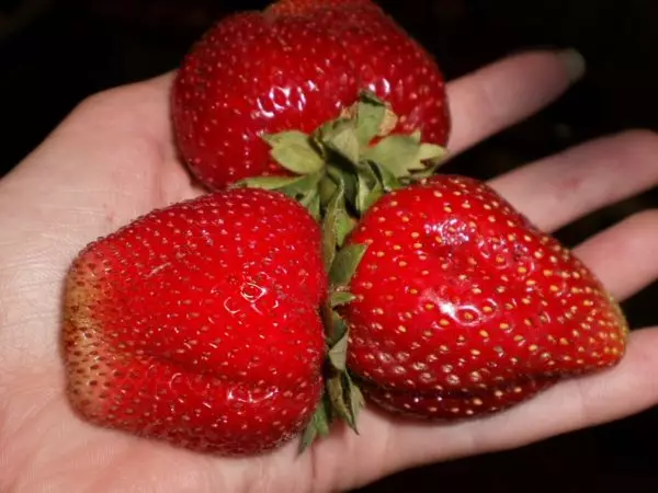 Aed Strawberry Marmalade
