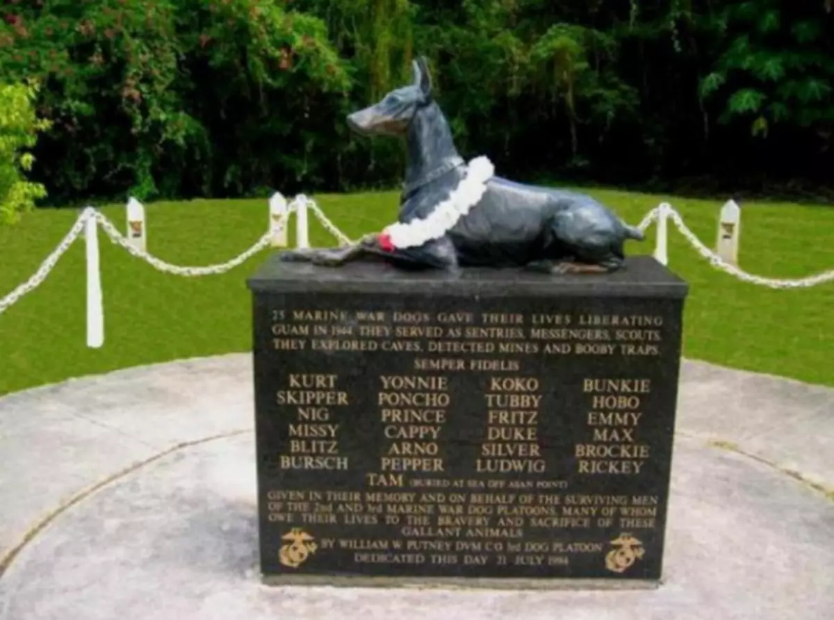 Monument till Dobermans som tjänstgjorde i USA Marine Corps