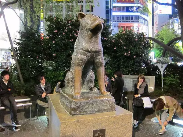 Monument Hachiko in Japan