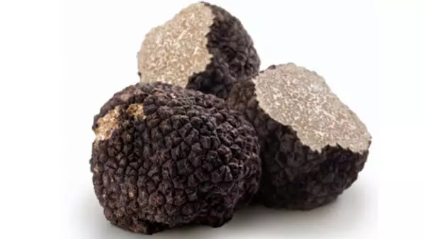 Ungakhula njani kwi-truffle ekhaya (emhlophe okanye emnyama) + ividiyo