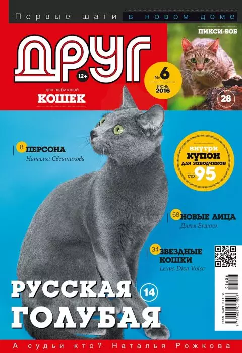 러시아어 블루 고양이 커버 잡지에