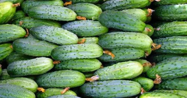 Cucumbers Vintage Marinda