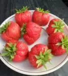漿果草莓勳爵在碟子上
