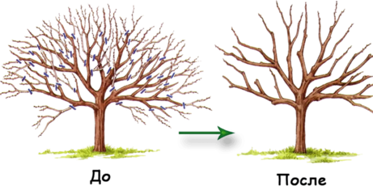 نهایی چیری لامل