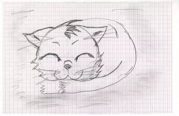 Autoriaus brėžinys miego katė
