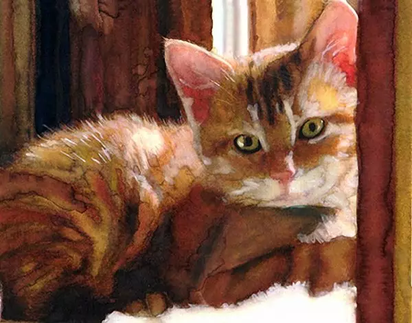 Piešimo katės akvarelė