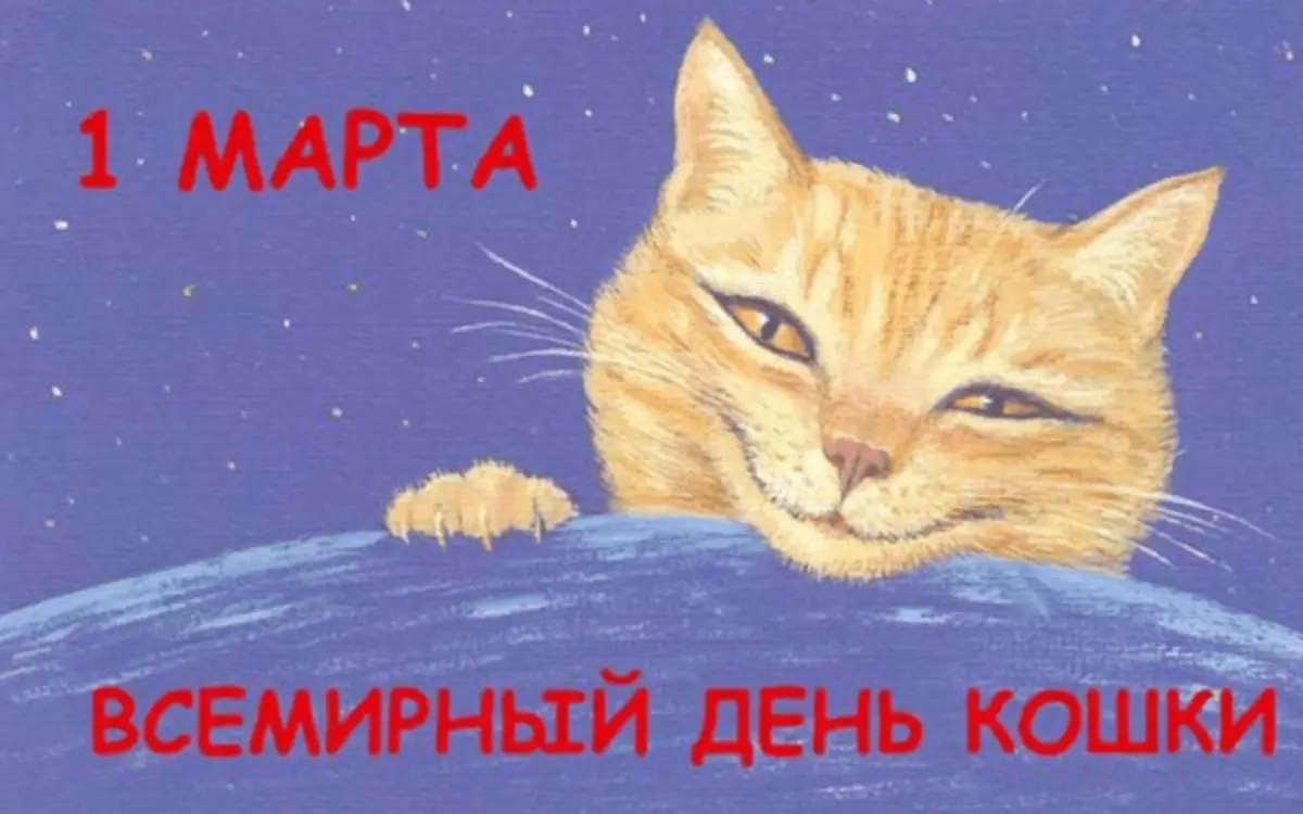 World Cat Day and Cats: Doe't se fiere (8 augustus 8 maart) yn Ruslân en de wrâld, skiednis en beskriuwing fan 'e ynternasjonale fekânsje