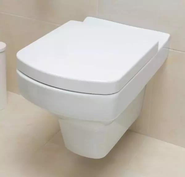 निलंबित शौचालय