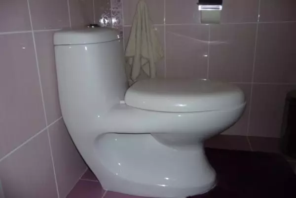 Cách cài đặt nhà vệ sinh bằng tay của riêng bạn - hướng dẫn từng bước để cài đặt và kết nối với nước thải từ video 2573_34