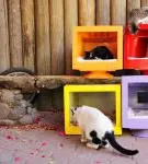 Hus för katter från bildskärmar