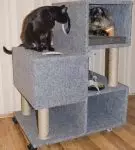 Дві кішки в будиночку