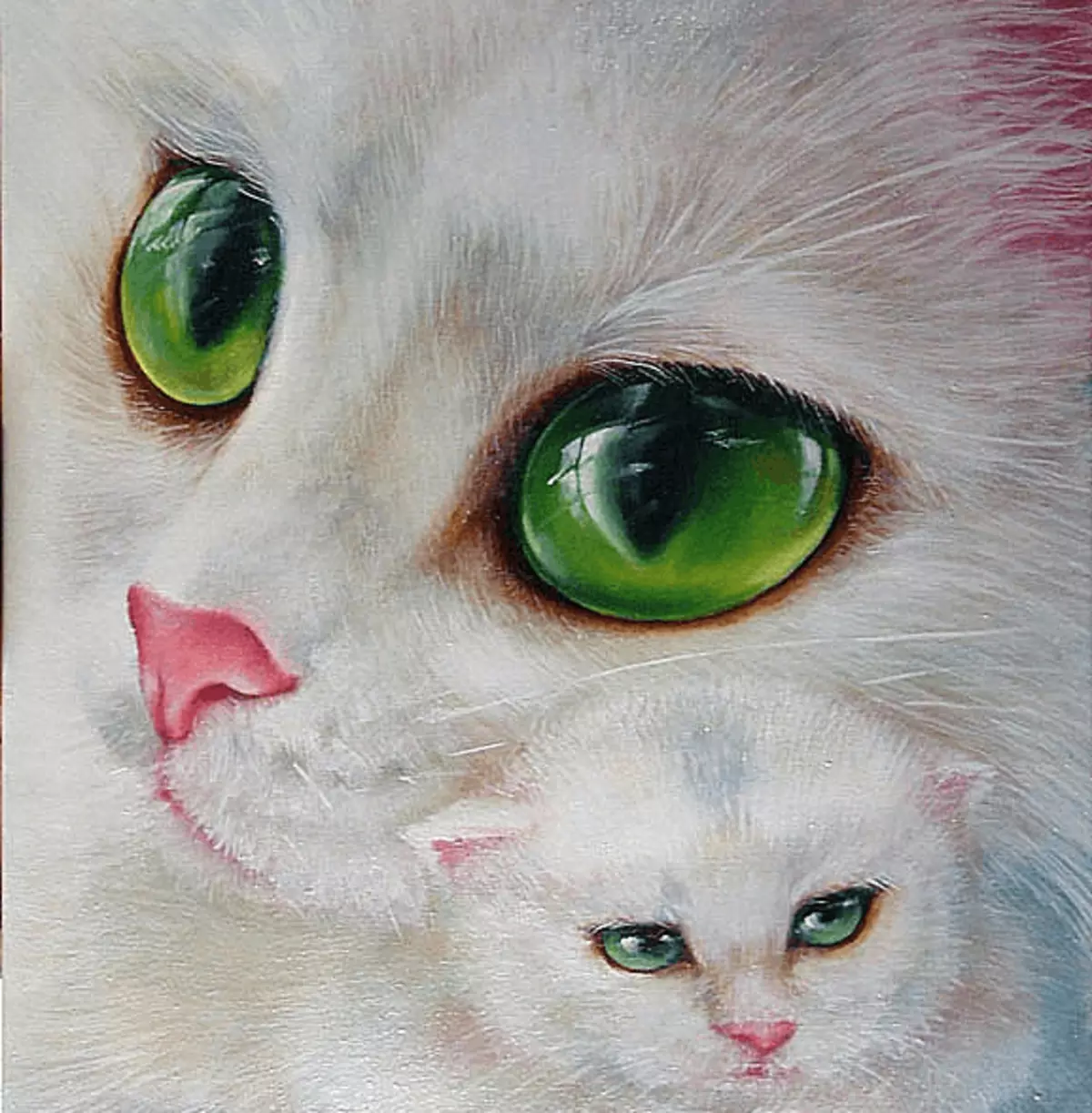 თეთრი კატა ერთად kitten