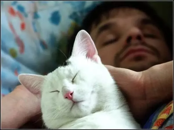 Кот спить з господарем