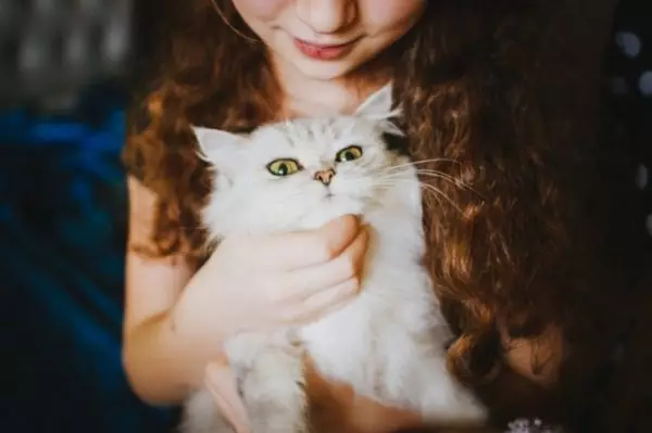 Meitene ar baltu kaķi