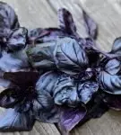 Basil amethyst