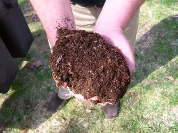 Mga Kamot sa Pag-compost: Mga Kapilian sa produksiyon nga adunay litrato