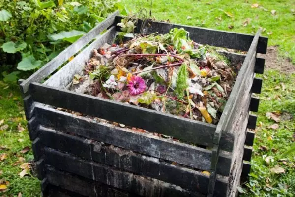 Värske tooraine komposti jaoks