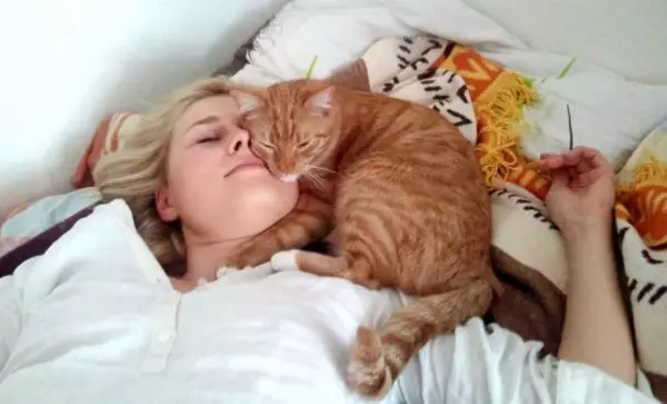 Bir kedi ile kız