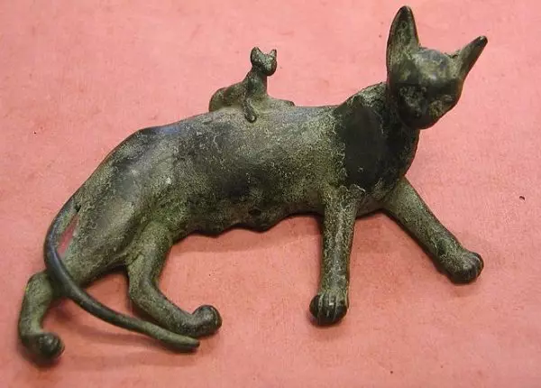 Abessijnse kat: de oorsprong van het ras, de normen voor uiterlijk, kenmerken van karakter, regels voor zorg en voeding, keuze van kitten, foto