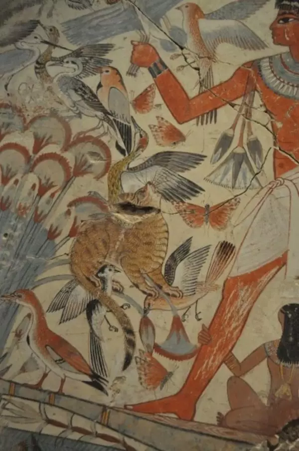 Lovecká kočka na ptácích ve starověkém Egyptě