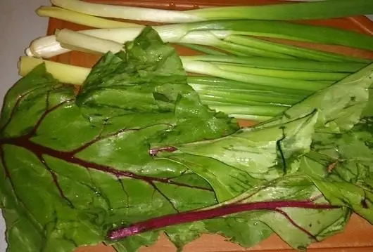 Greens and beet tops