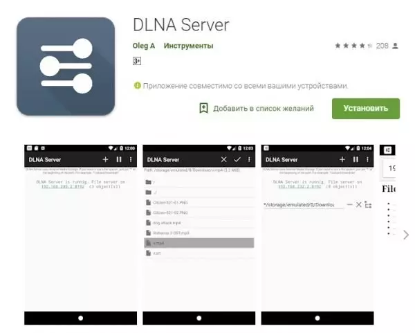 DLNA Server.