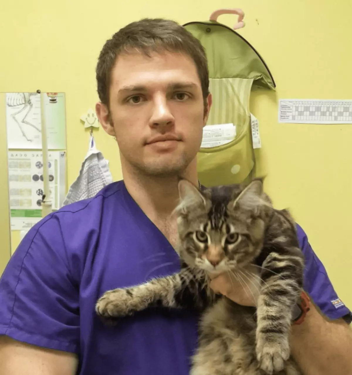 Kattunge på veterinæren