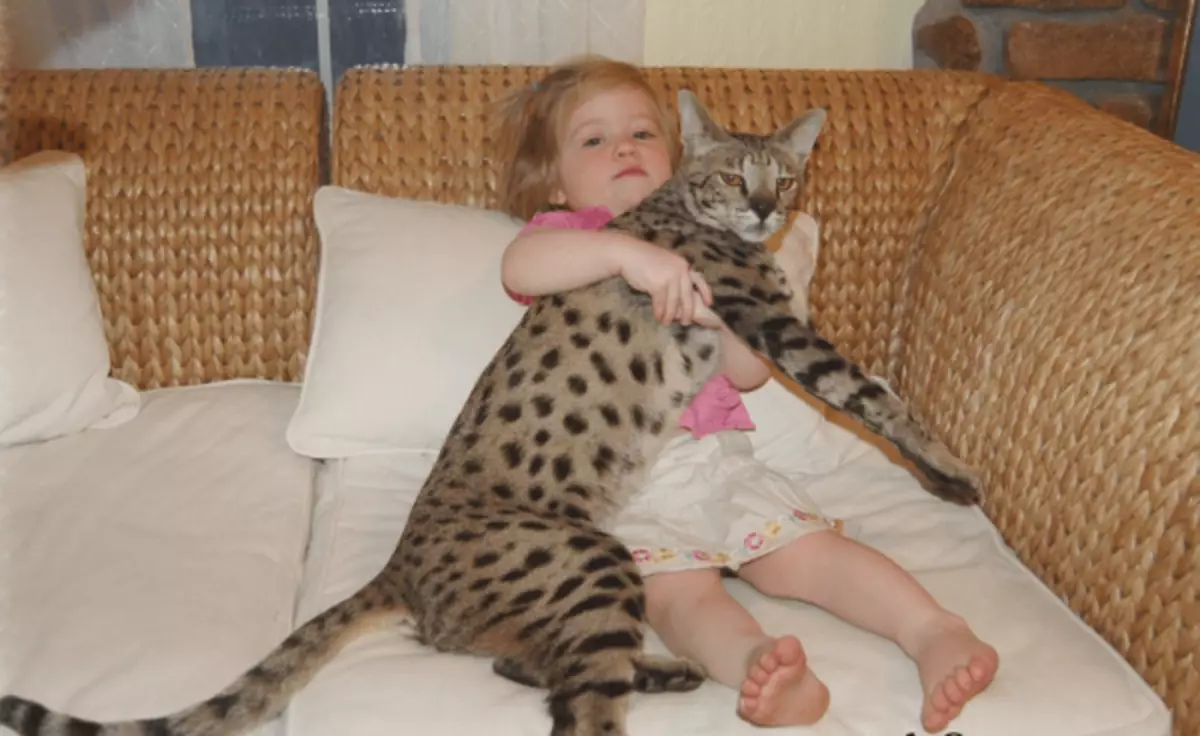 Саванна Мачка са бебом