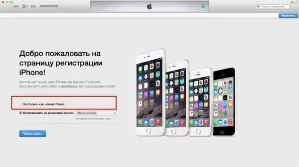 Configurando iPhone en caso de un error de autorización.