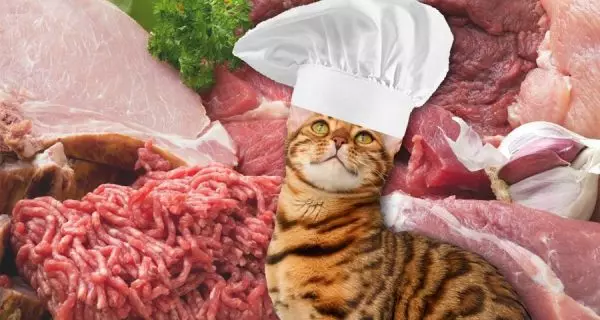 Cat in cook cap on meat background