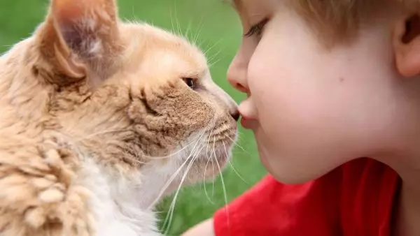 Berniukas bučiuoja katę nosyje