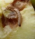 Pear fruzher