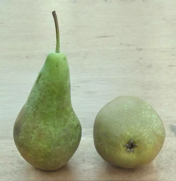 Mkutano wa Pear.