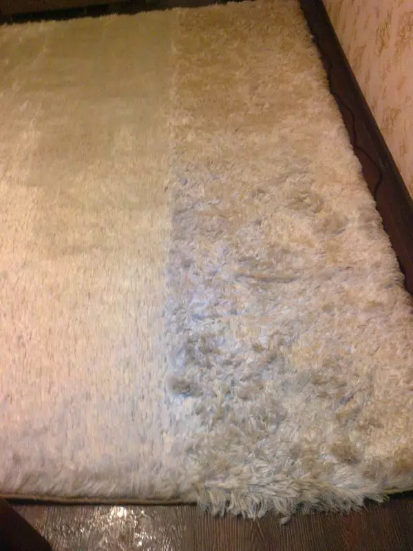 Egy szőnyeg fragmense, mold