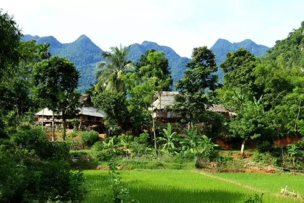 Tonkin Виетнам