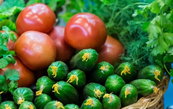 Crop kurkut ja tomaatit