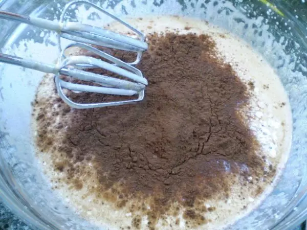 Cacao en prueba