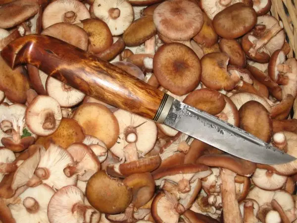 Mushroom Messer