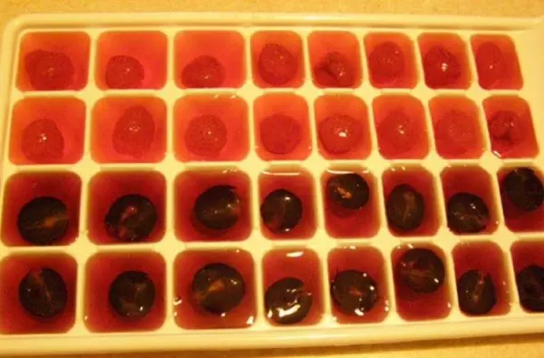 Beeren zu Schimmel, belleléiert Jelly