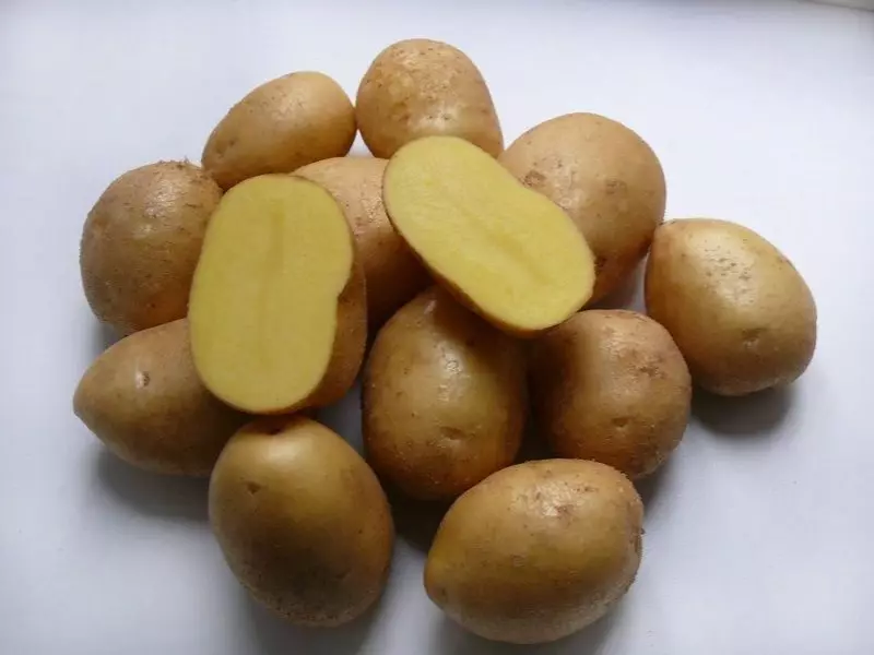 Сорт картоплі Синку, опис, фото, характеристика та відгуки, а також особливості вирощування