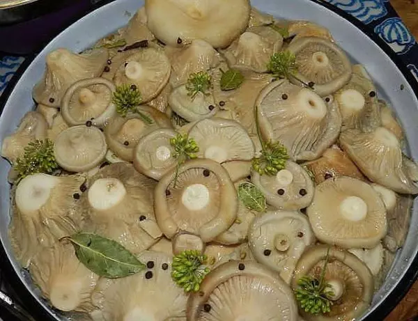 버섯과 냄비에 녹색