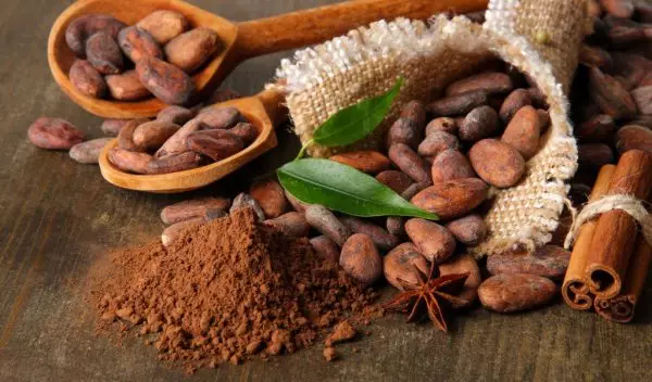 Cocoa amin'ny endrika vovony sy tsaramaso